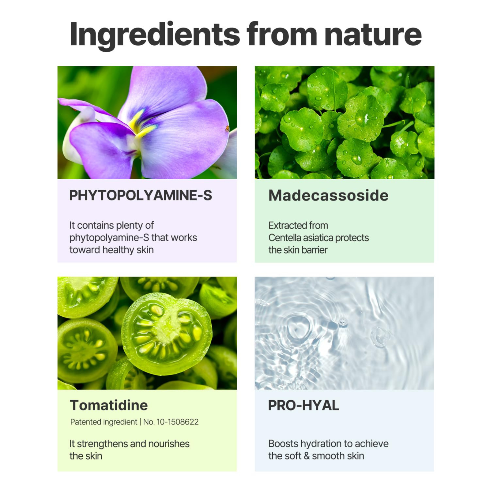 Petitfee Pep-Tightening Eye Cream 30g